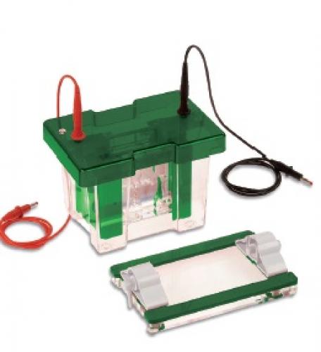 Electroforeza verticala EVS1100-SYS - Precisa